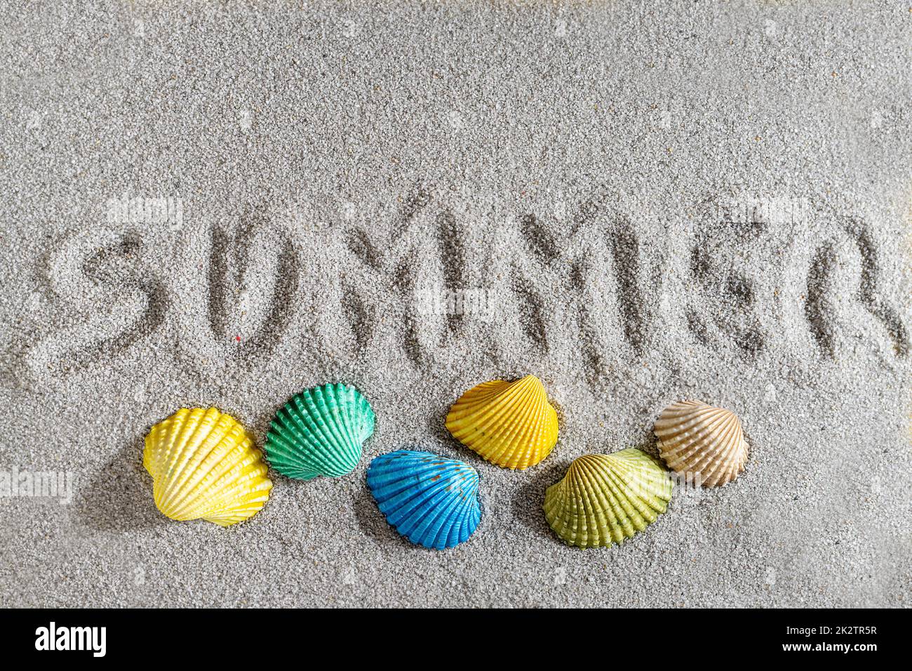 Shells yellow and red scallop hi-res stock photography and images - Alamy