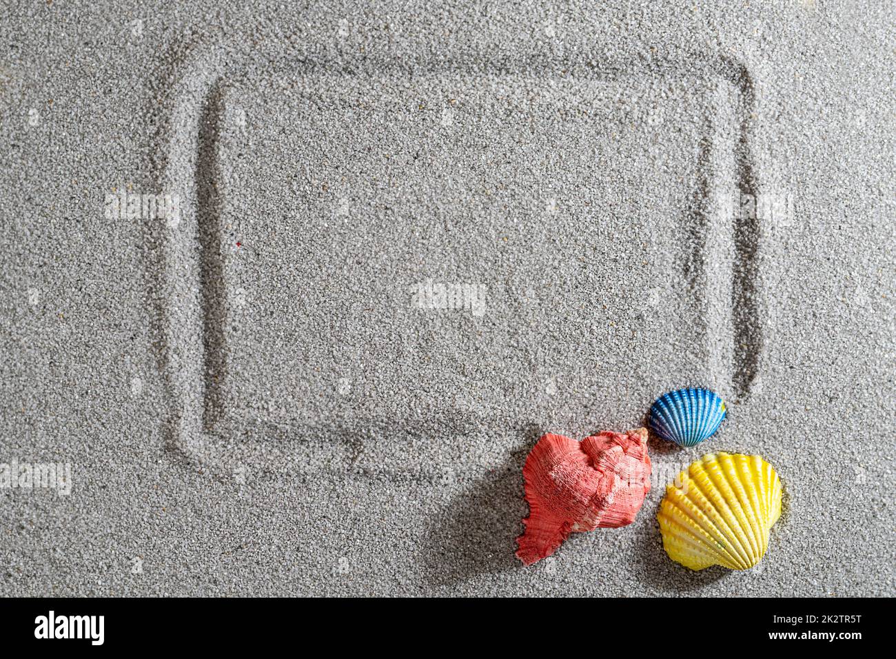 Shells yellow and red scallop hi-res stock photography and images - Alamy