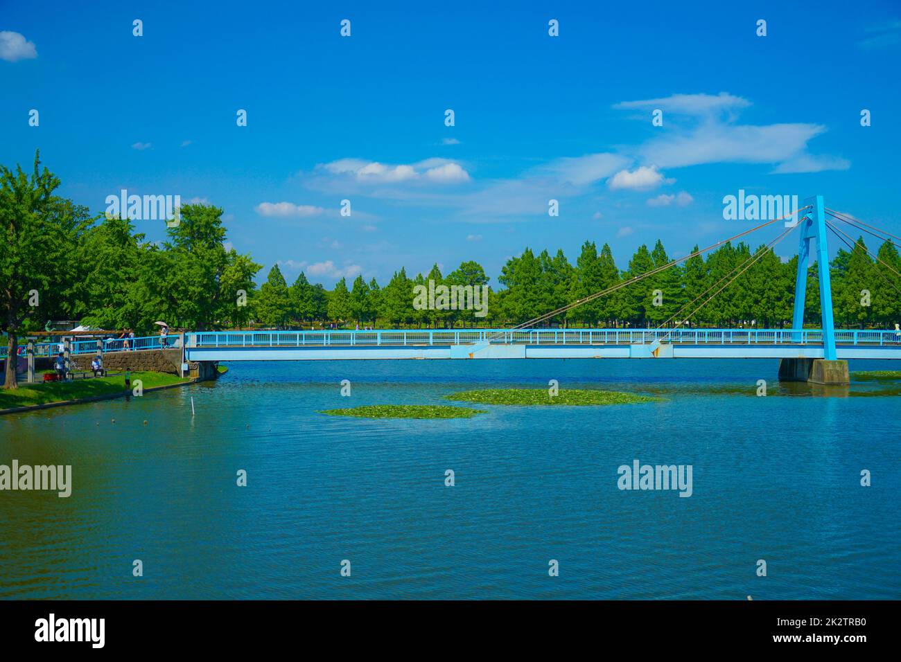 Mizumoto ohashi hi-res stock photography and images - Alamy