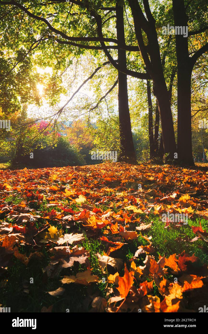 English famous landscape hi-res stock photography and images - Alamy