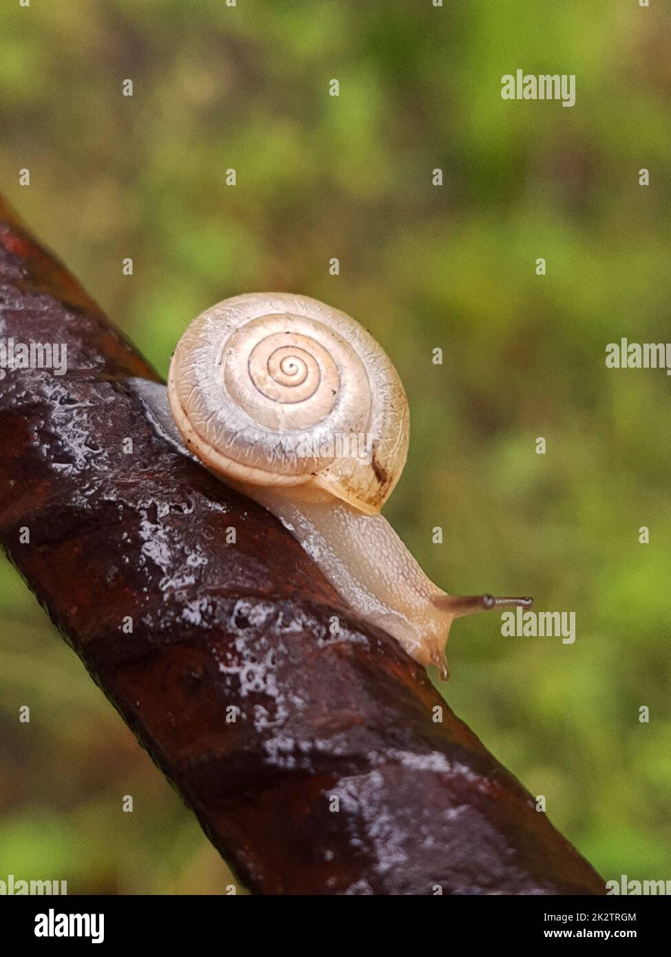 Metal slug hi-res stock photography and images - Alamy