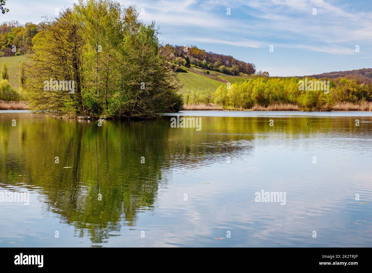 Travel Luxembourg Nature and species protection Stock Photo - Alamy