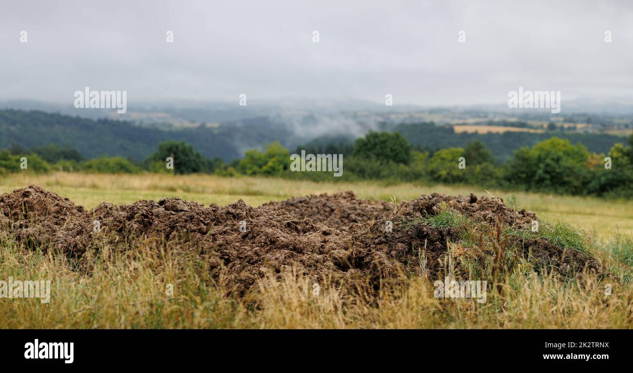 Manure heap hay agriculture hi-res stock photography and images - Alamy