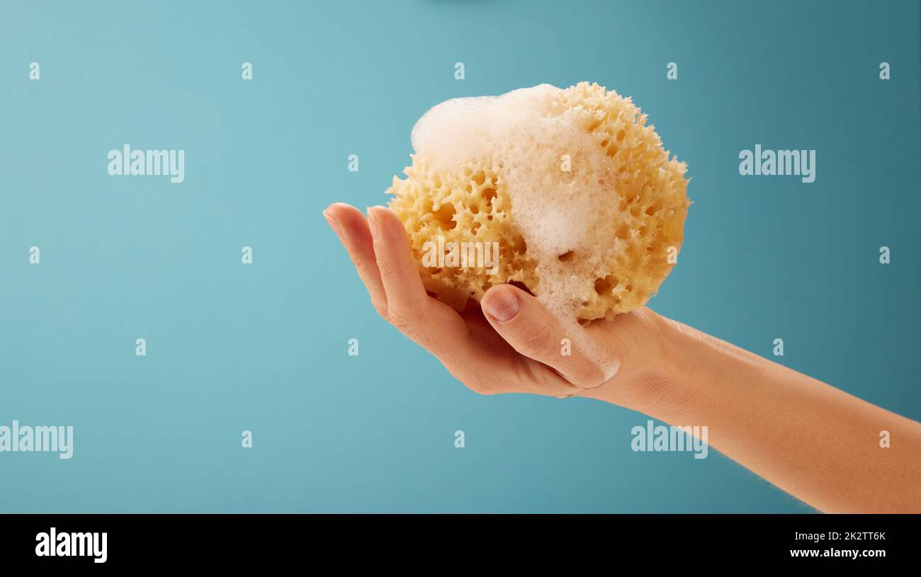 Blue sponge hand hi-res stock photography and images - Alamy