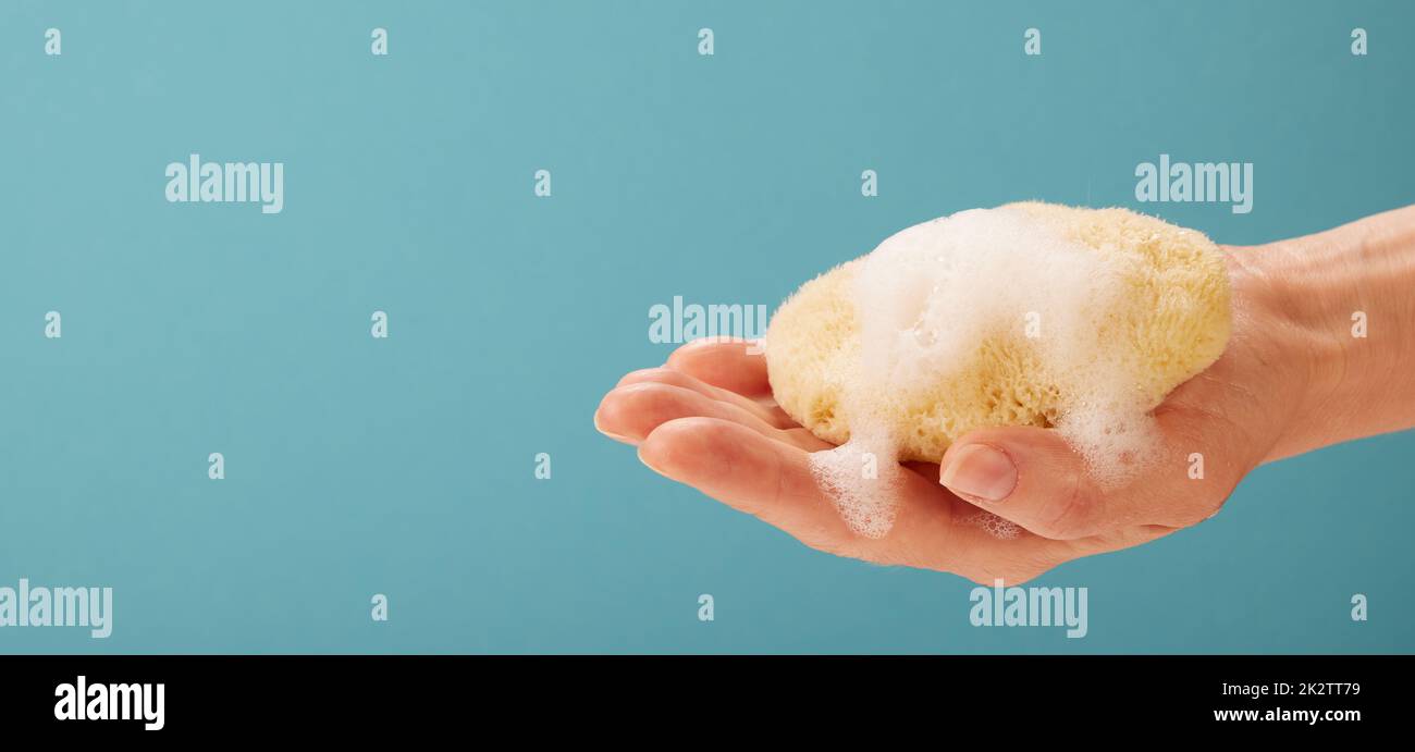 Crop person showing a sponge with foam Stock Photo - Alamy