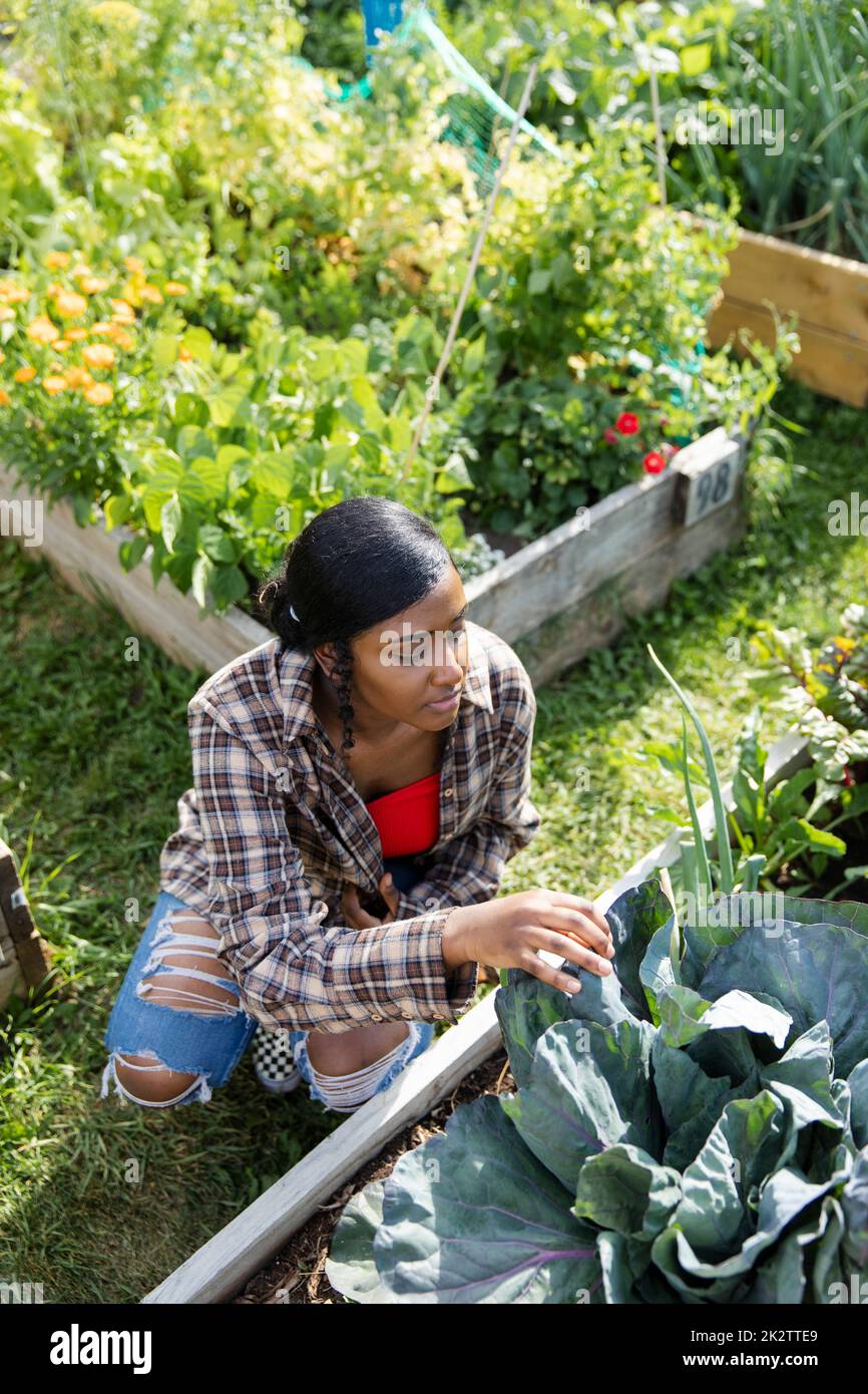 Garden overhead hi-res stock photography and images - Alamy