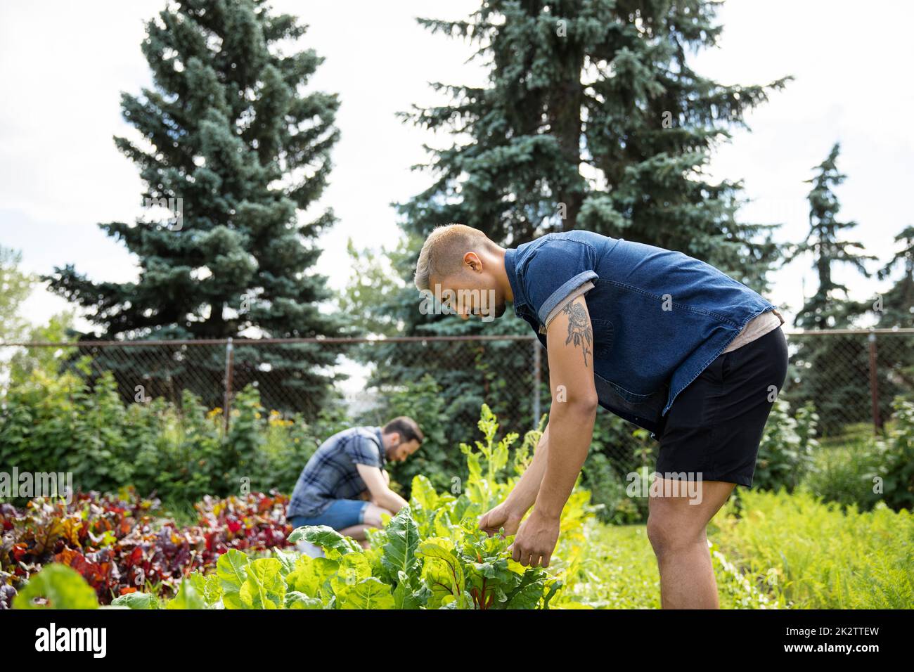 Community man hi-res stock photography and images - Alamy
