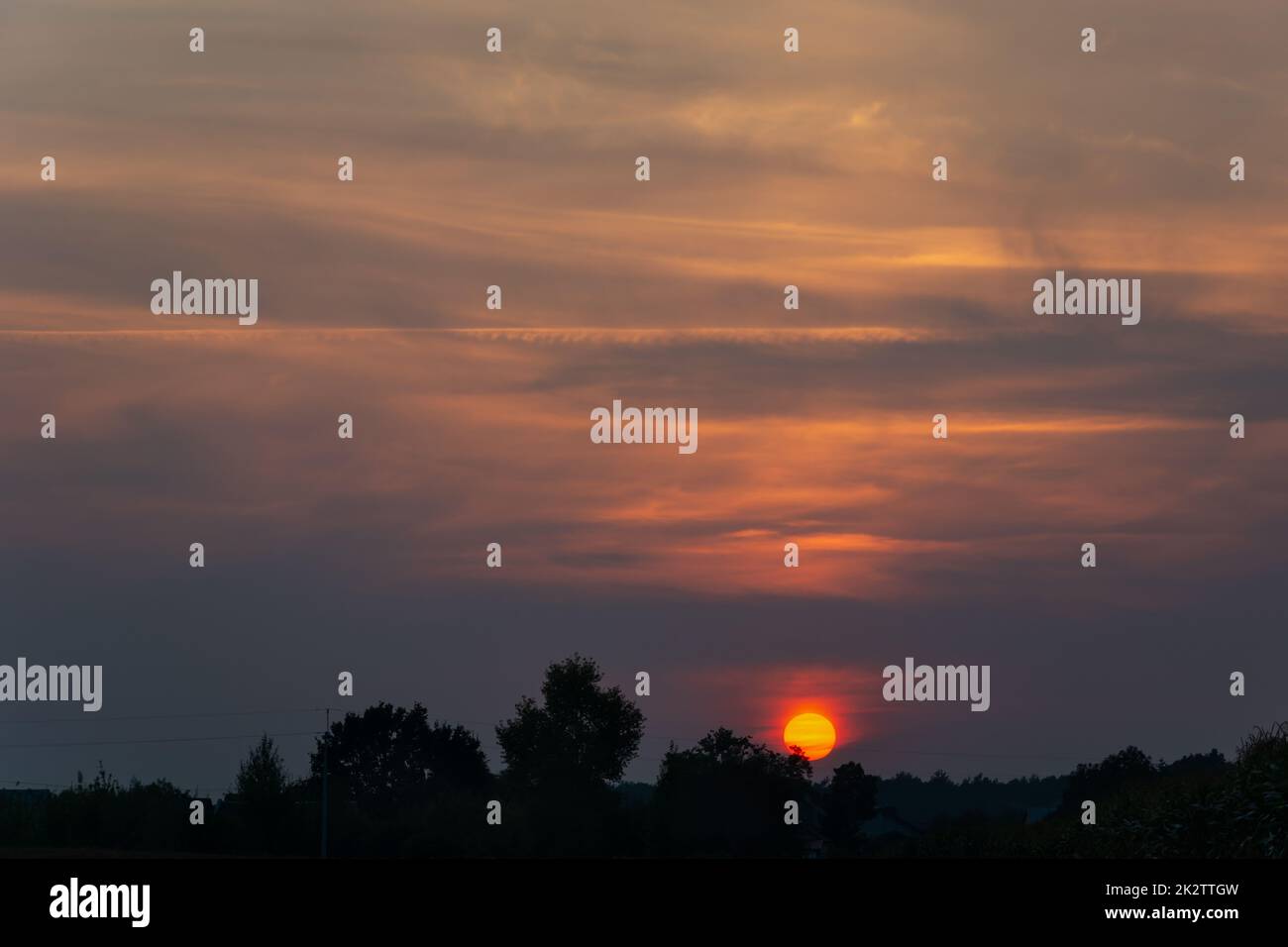 Sunset over trees and pink cloudy sky Stock Photo - Alamy