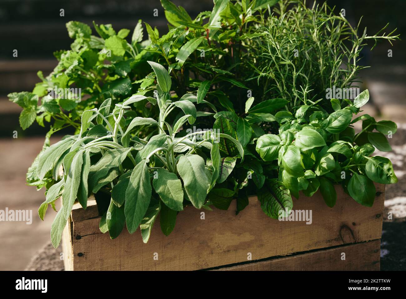 Box with assorted green herbs Stock Photo - Alamy