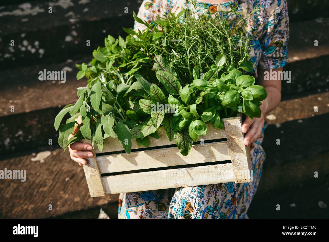 Faceless farmer with greens sitting on stairs in countryside Stock ...