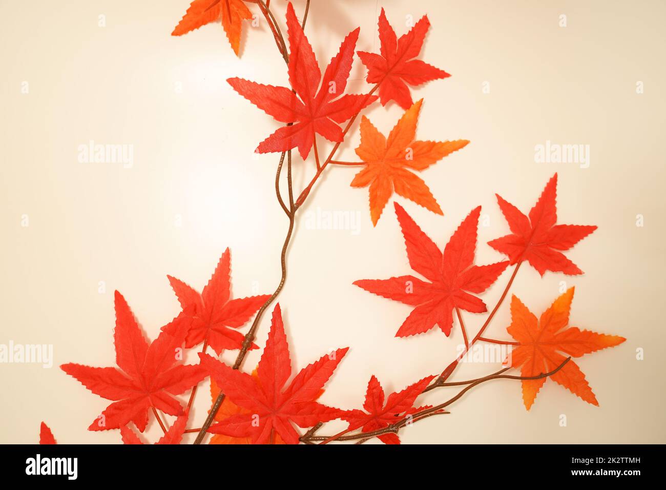 Image of autumn leaves (autumn art poetry Stock Photo - Alamy