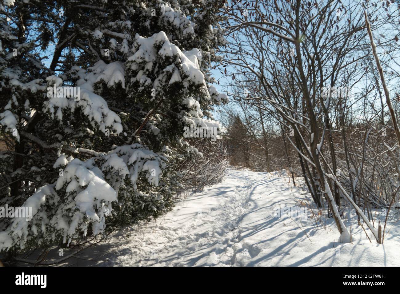 Sunny and snow hi-res stock photography and images - Alamy