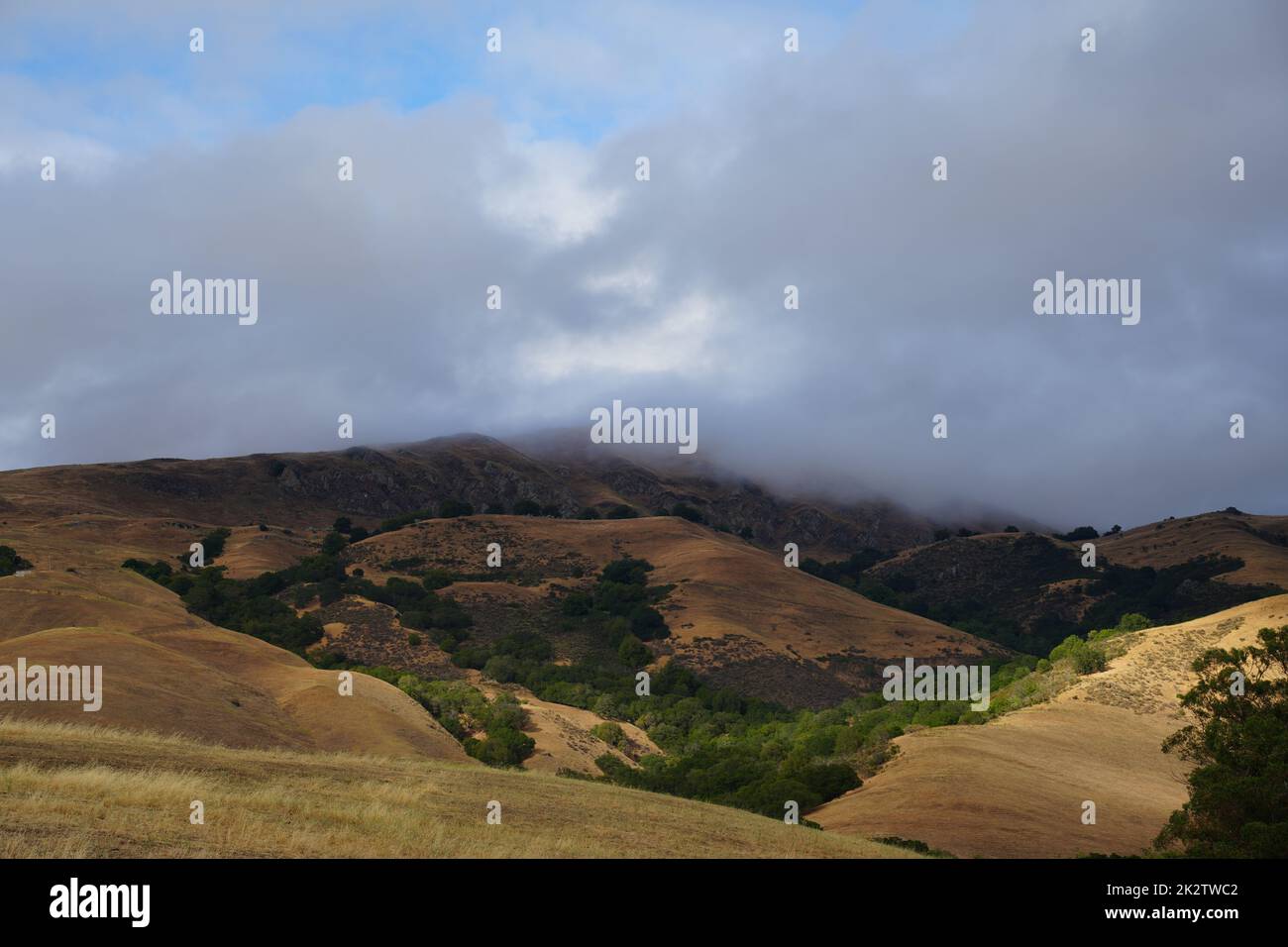 A scenic landscape of hills in yellow grass and trees covered with ...