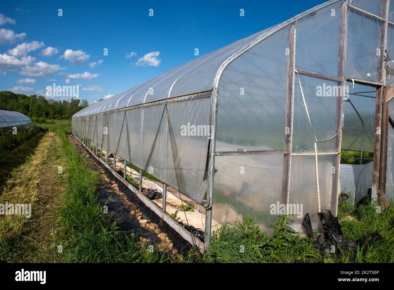 long side view of organic vegetable greenhouse in sunny farm field ...