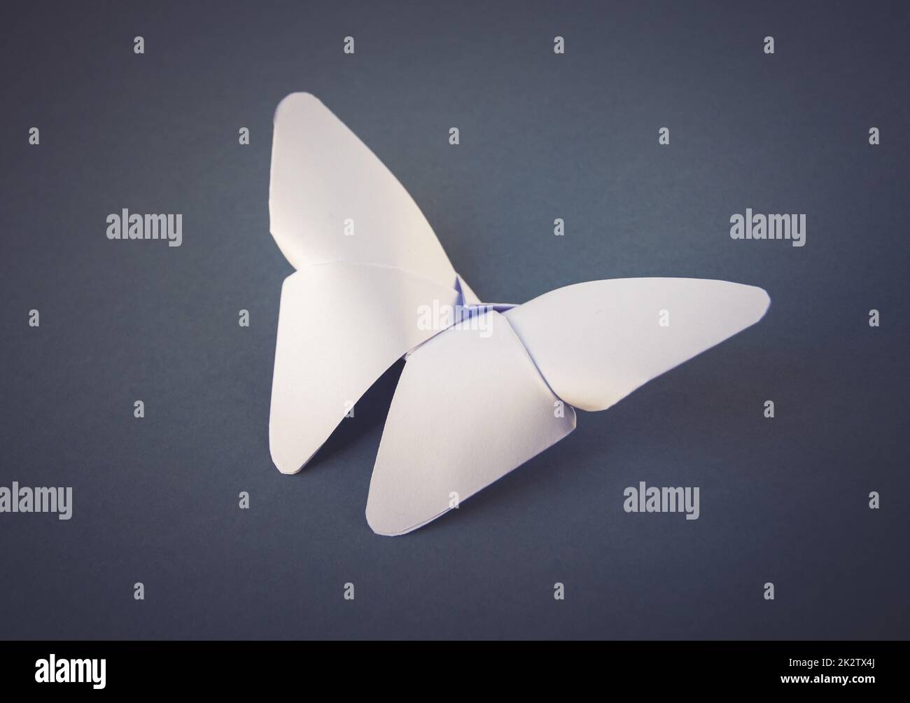 White paper butterfly origami isolated on a grey background Stock Photo ...