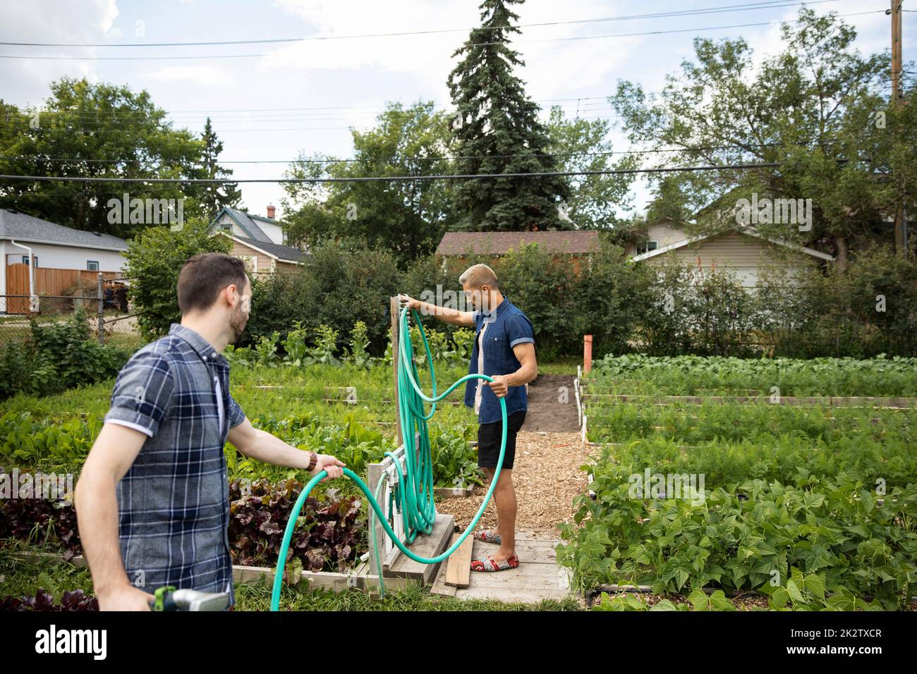 Using hose hi-res stock photography and images - Alamy