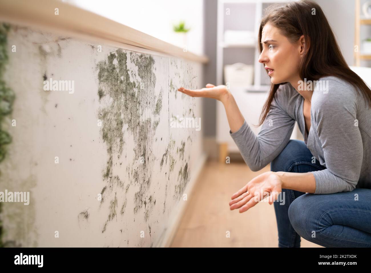 Mold inspection hi-res stock photography and images - Alamy