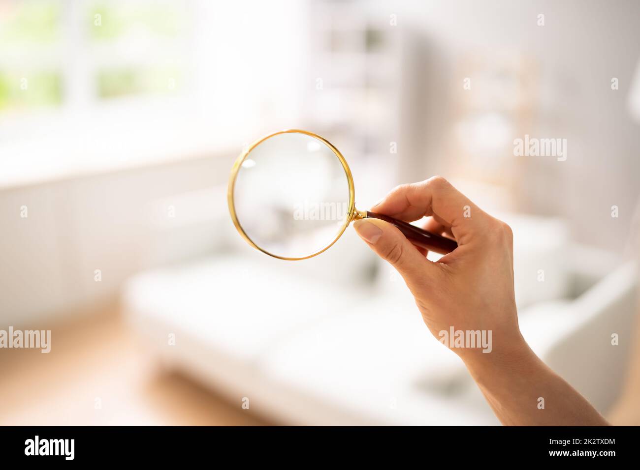 Woman Holding Magnifying Glass Stock Photo - Alamy