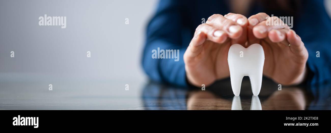 Woman's Hand Protecting White Tooth Stock Photo - Alamy
