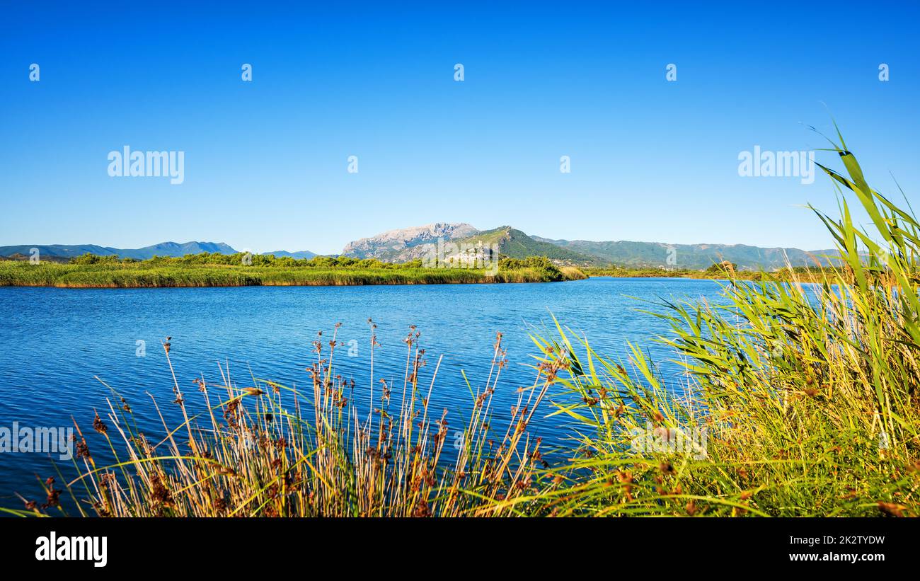 Pond of Posada, natural park of Tepilora, Sardinia. Landscapes Stock ...