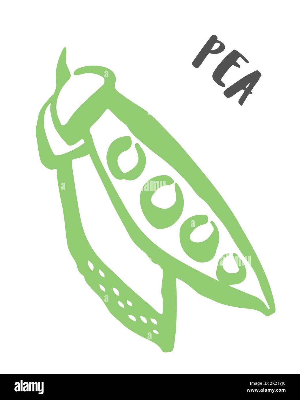 Pea plant drawing hi-res stock photography and images - Alamy