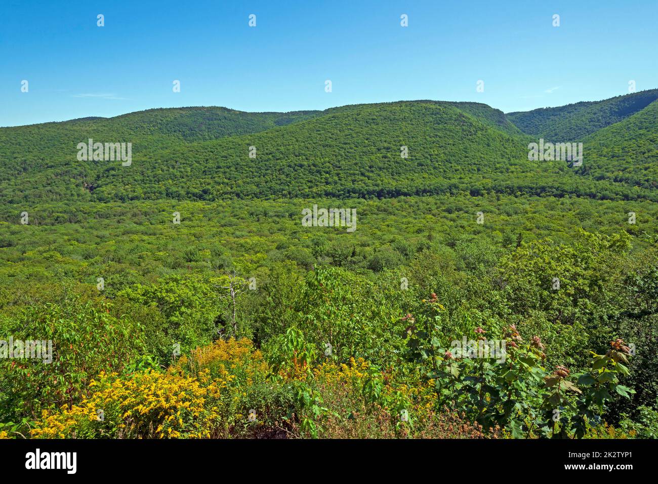 The Green Highlands of Cape Breton in Canada Stock Photo - Alamy