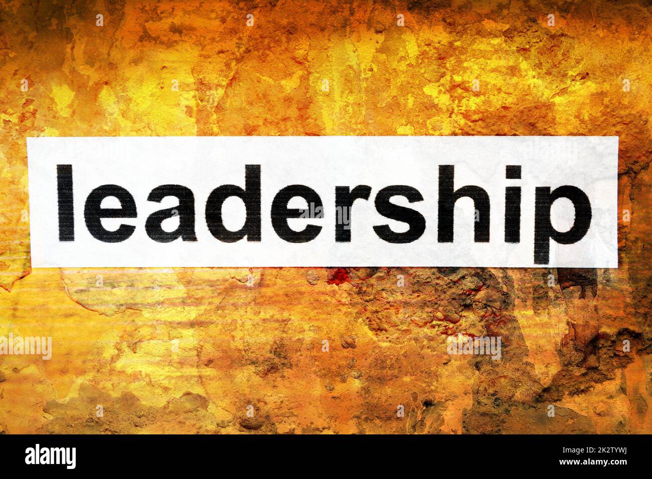 Solving leadership hi-res stock photography and images - Alamy