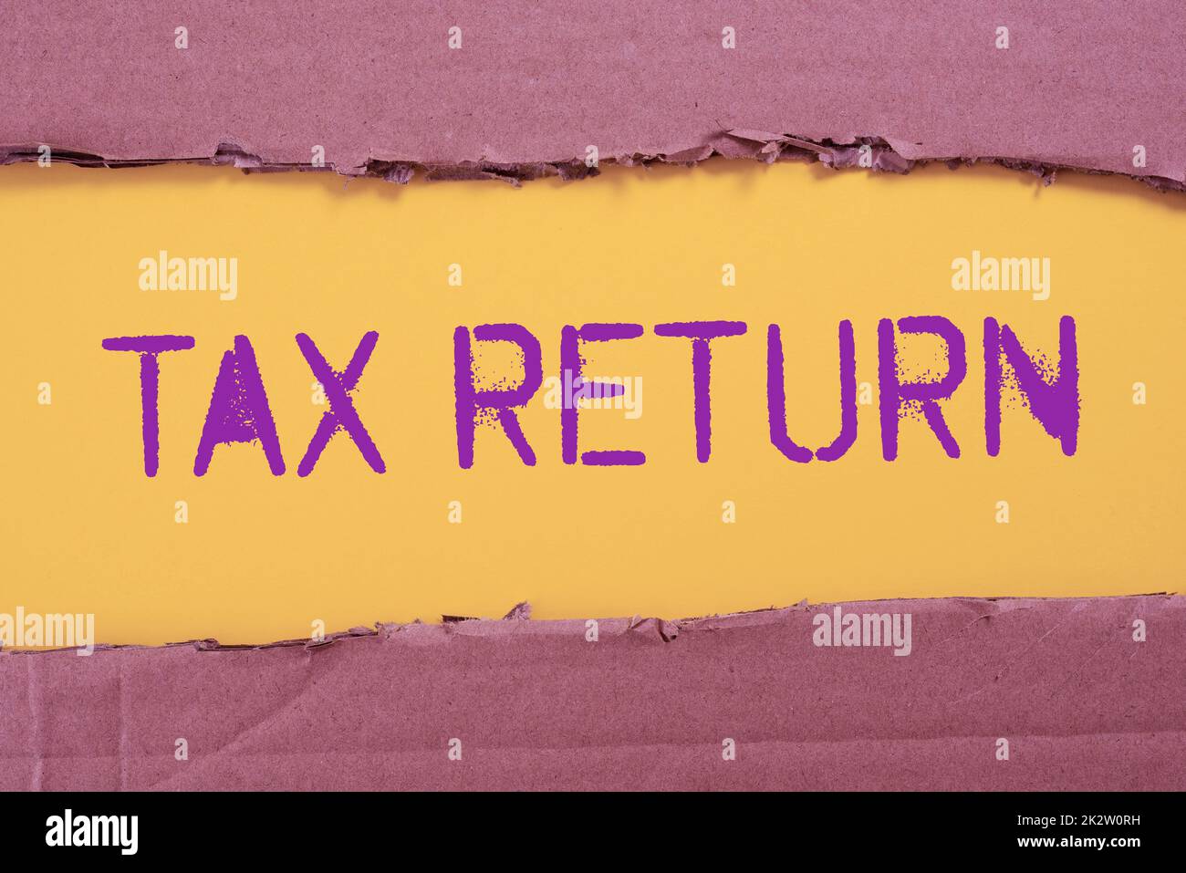 Inspiration showing sign Tax Return. Concept meaning which taxpayer ...