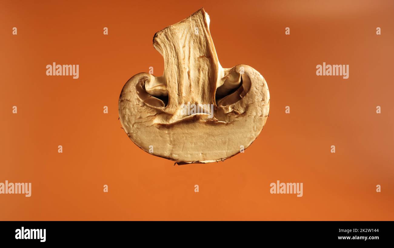 One fresh mushroom in a cut on a brown background. Half of the royal ...