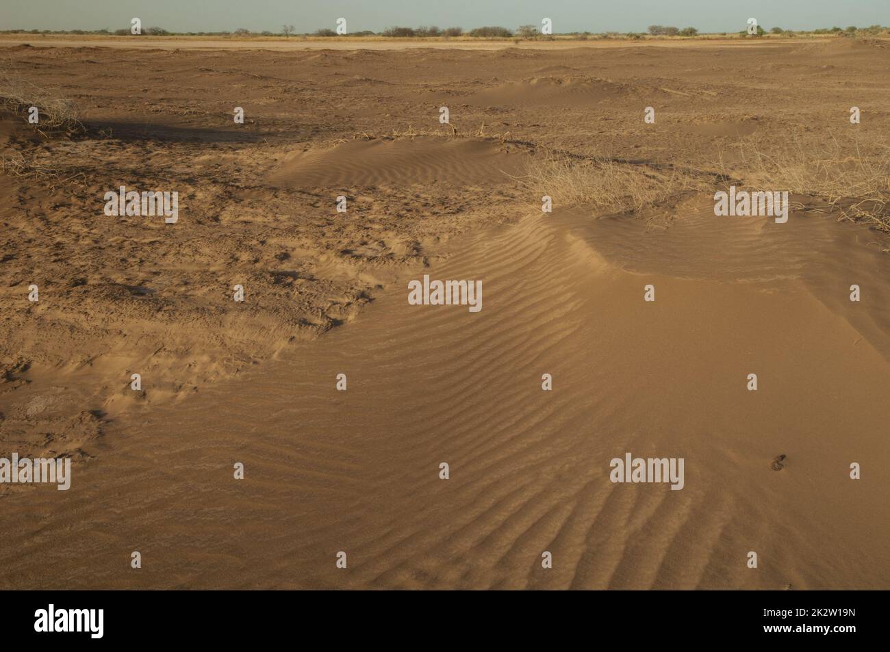 Desert landscape in the Oiseaux du Djoudj National Park Stock Photo - Alamy