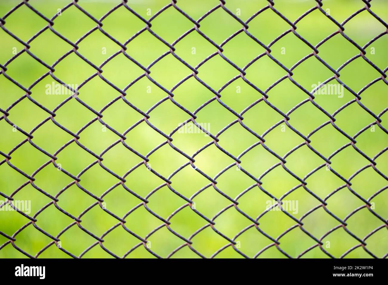 Mesh cage in the garden with green grass as background. Metal fence ...