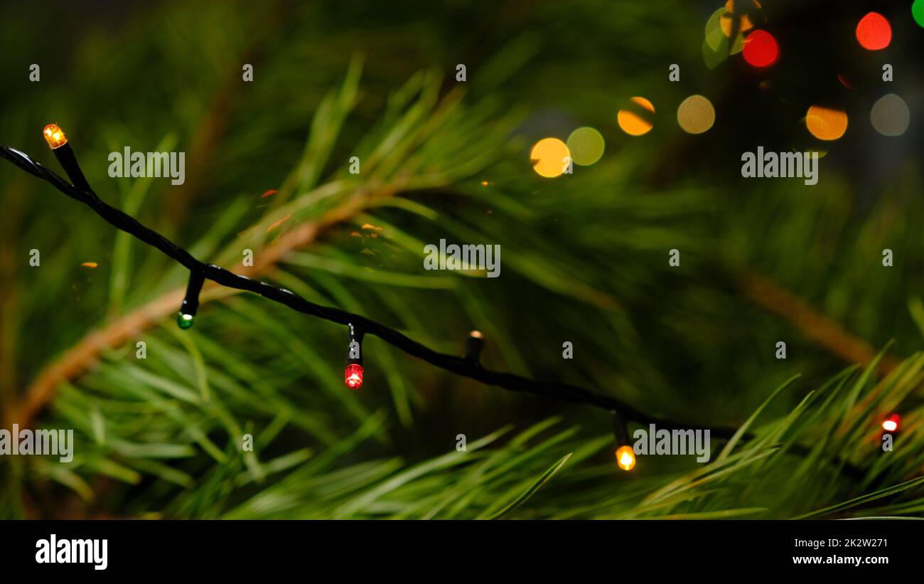 Colorful presents bokeh pine tree hi-res stock photography and images ...