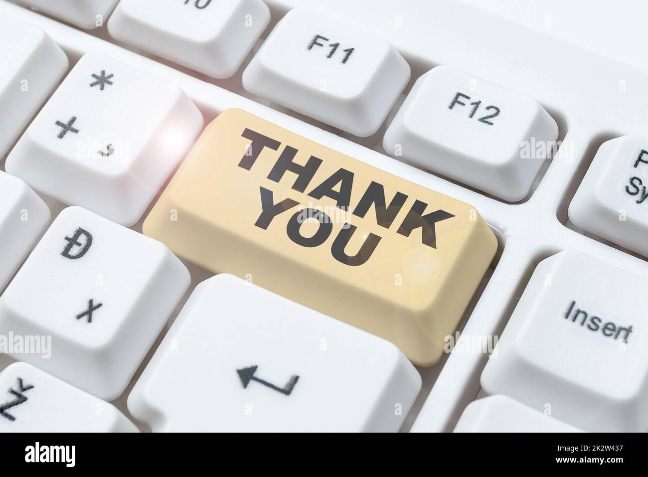 Text caption presenting Thank You. Conceptual photo replaying on ...