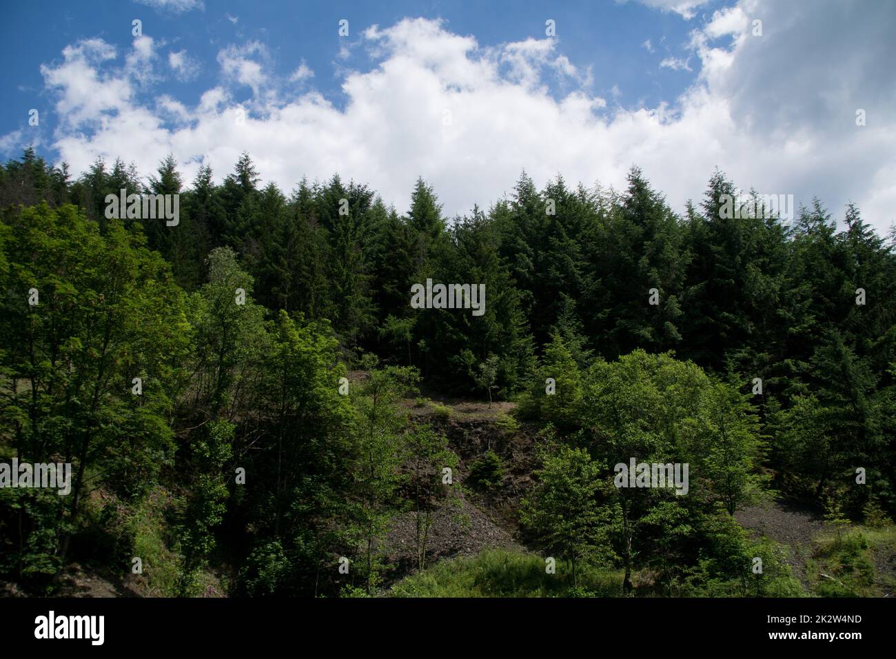 Landscape in the german area called Nitzelbachtal Stock Photo - Alamy