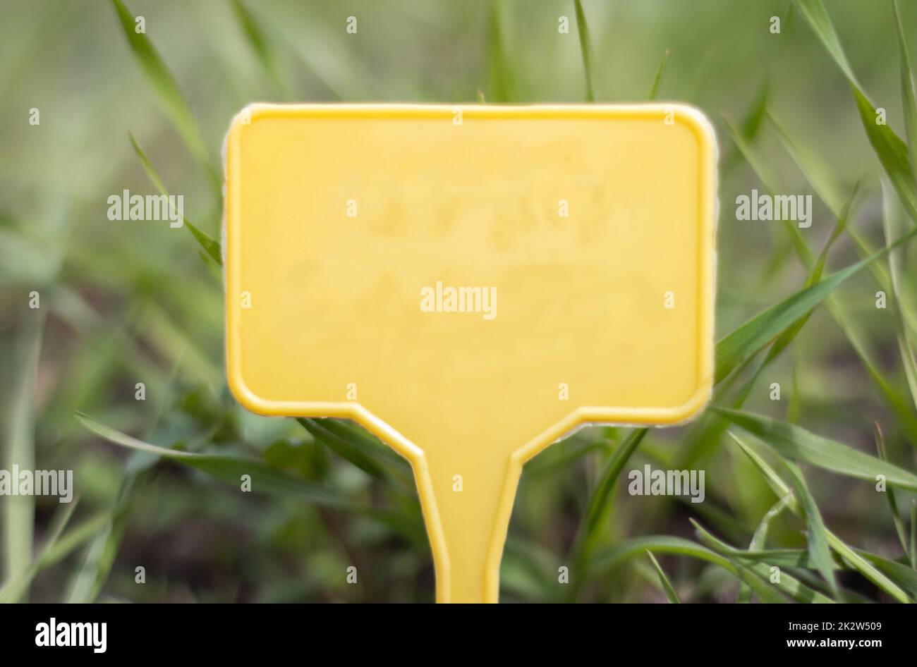 A yellow plastic garden marker indicating a plant in the garden. Label ...