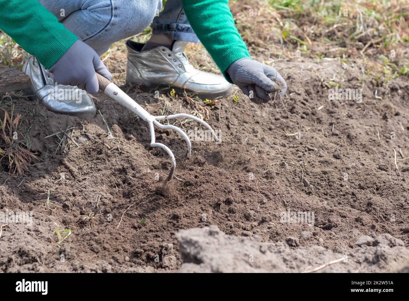 A woman cleans the weeds in the garden. Spring cleaning on the farm ...