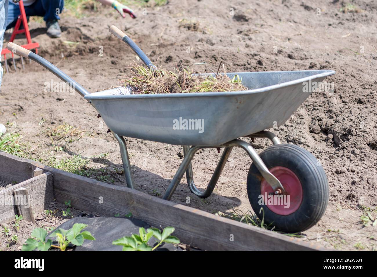Garden wheelbarrow filled with earth or compost at the farm. Seasonal ...