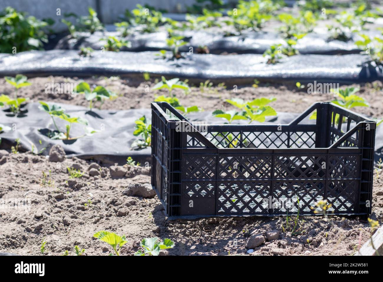 Crop storage hi-res stock photography and images - Alamy