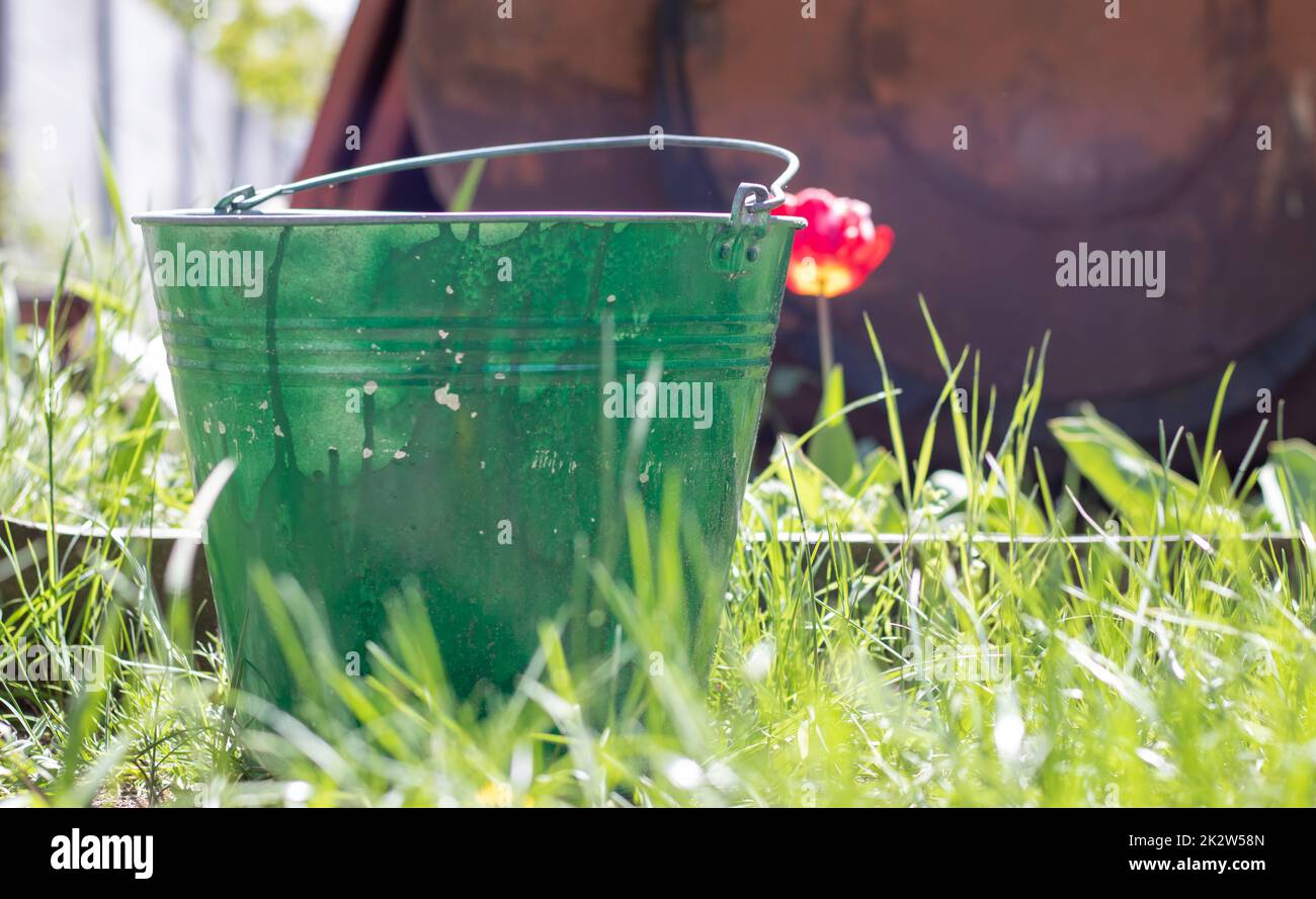 Metal dirty garden bucket, container with a handle in the garden in ...