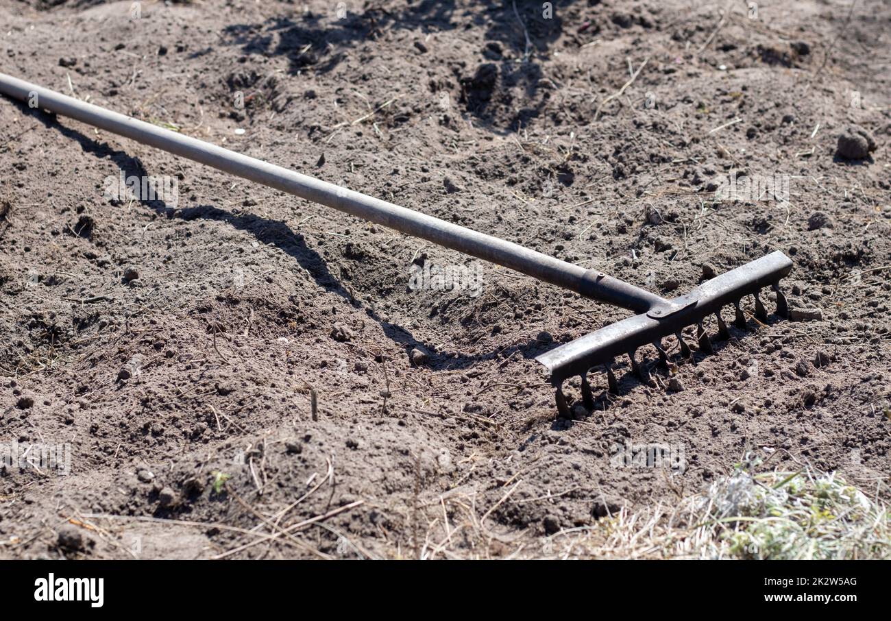 Close up photo of a garden rake on a bed. Old black metal rake on dry ...