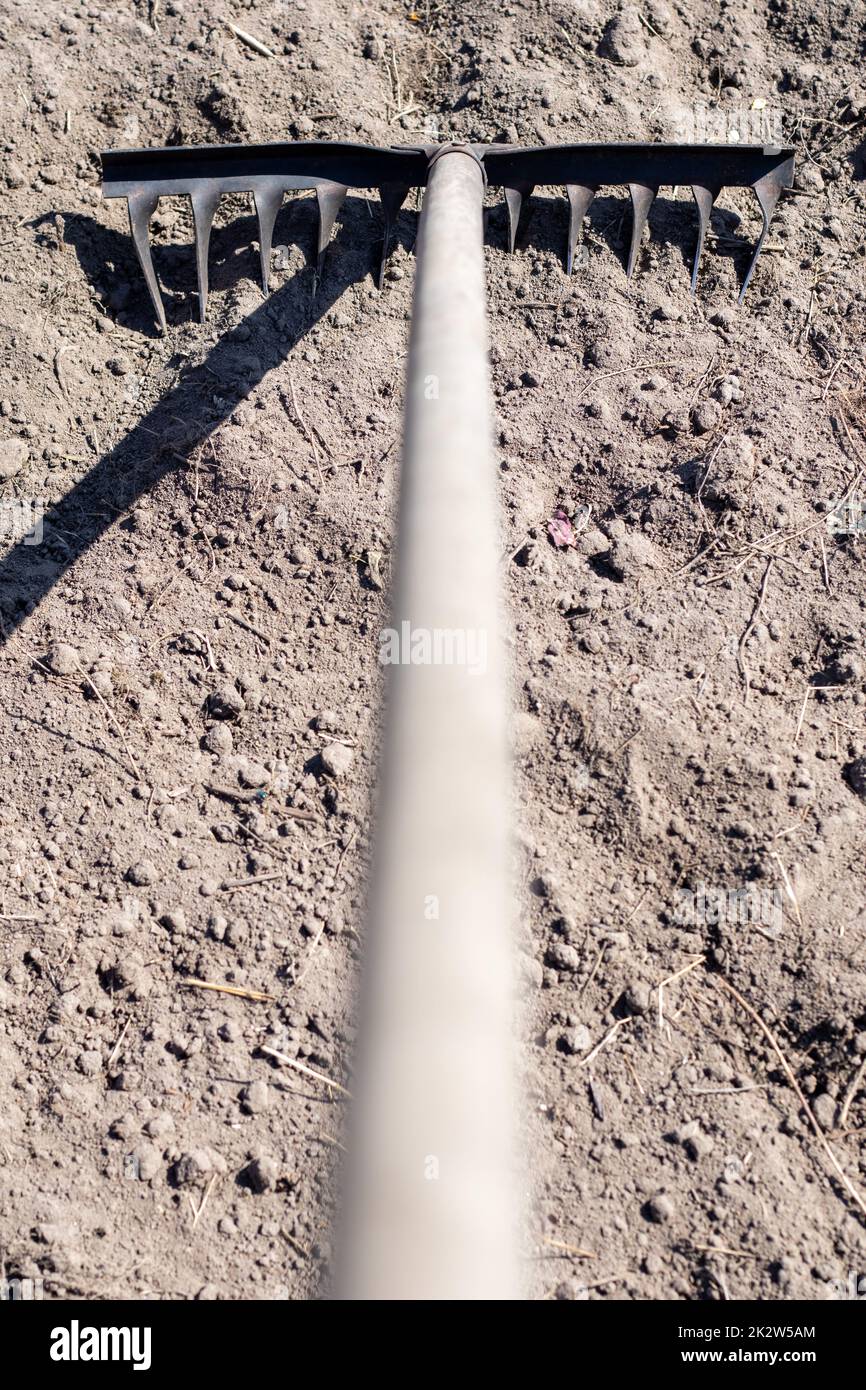 Close up photo of a garden rake on a bed. Old black metal rake on dry ...