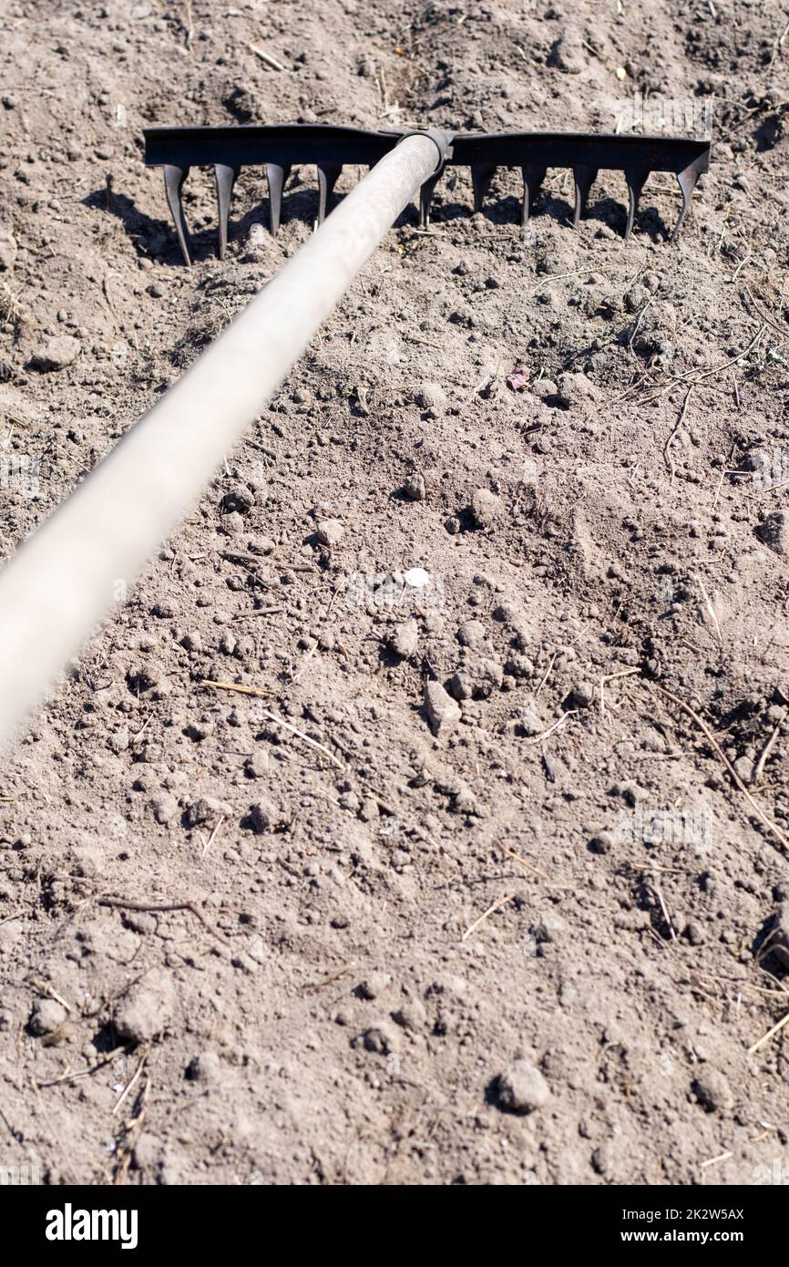 Photo of a garden rake on a bed. Old metal rake in the garden. Spring ...