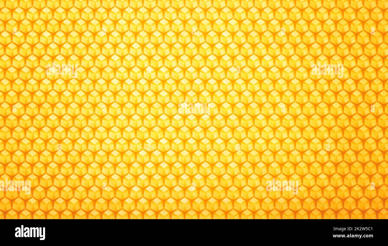 Close up fresh golden comb honey background texture, full frame ...