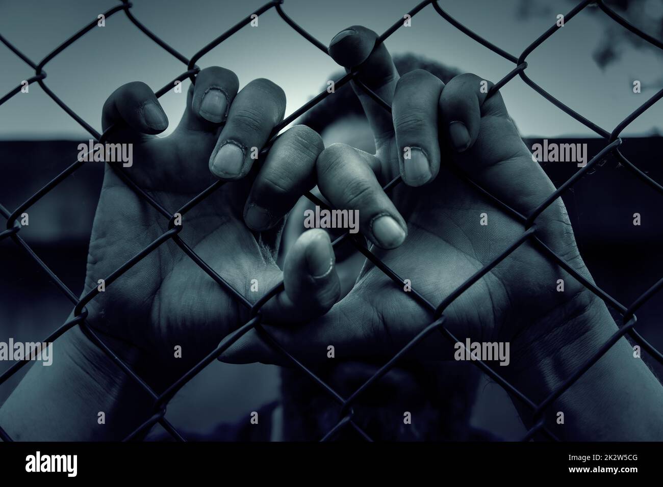 Hands on a fence Stock Photo - Alamy