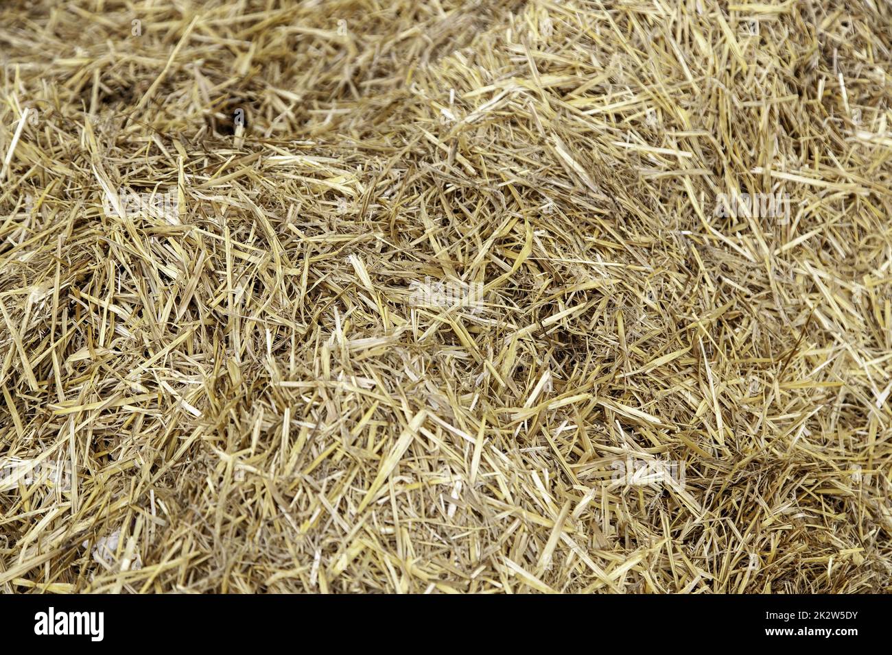 Dry straw background Stock Photo - Alamy