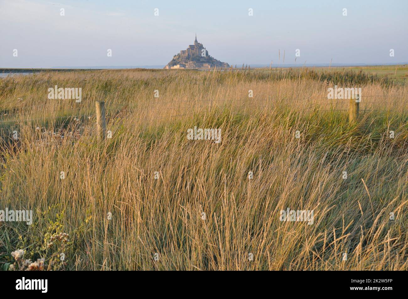 Salt marshes saltmarsh hi-res stock photography and images - Alamy