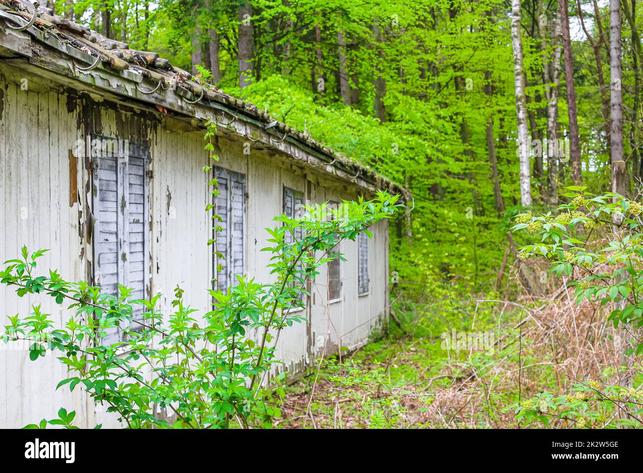 Broken destroyed old house in forest Germany Stock Photo - Alamy