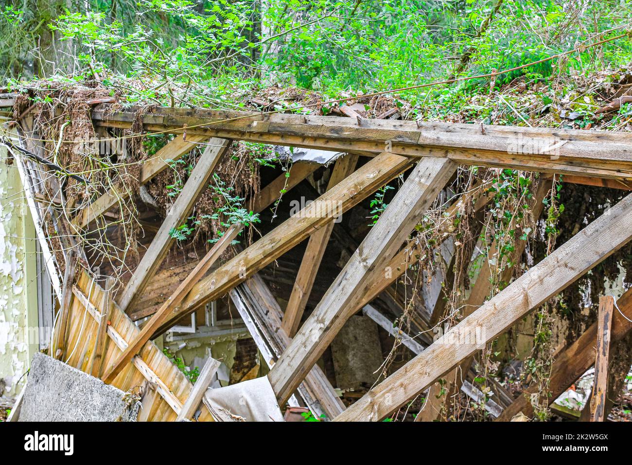 Broken destroyed old house in forest Germany Stock Photo - Alamy
