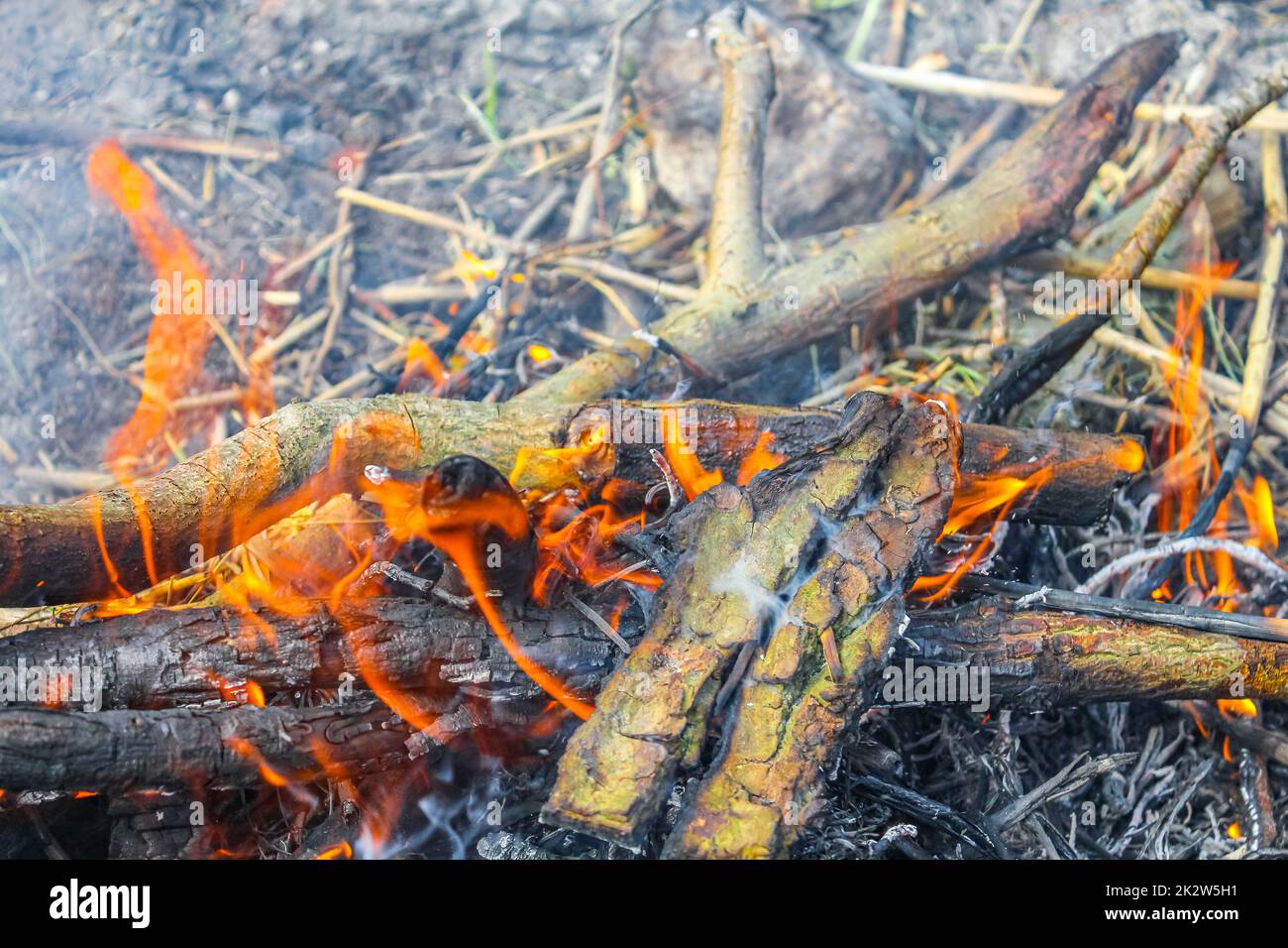 Campfire and burning wood with orange flames Germany Stock Photo - Alamy