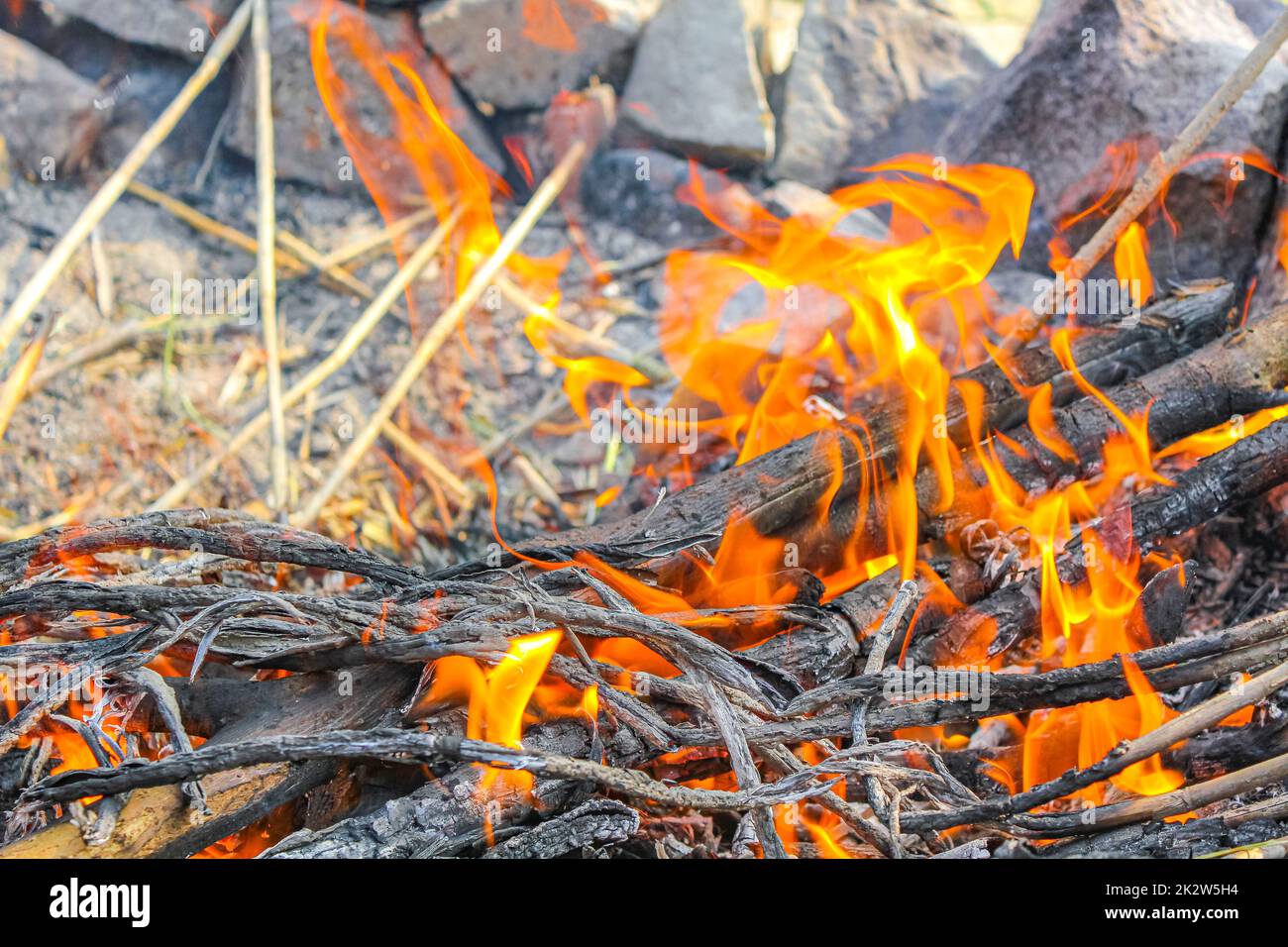 Campfire and burning wood with orange flames Germany Stock Photo - Alamy